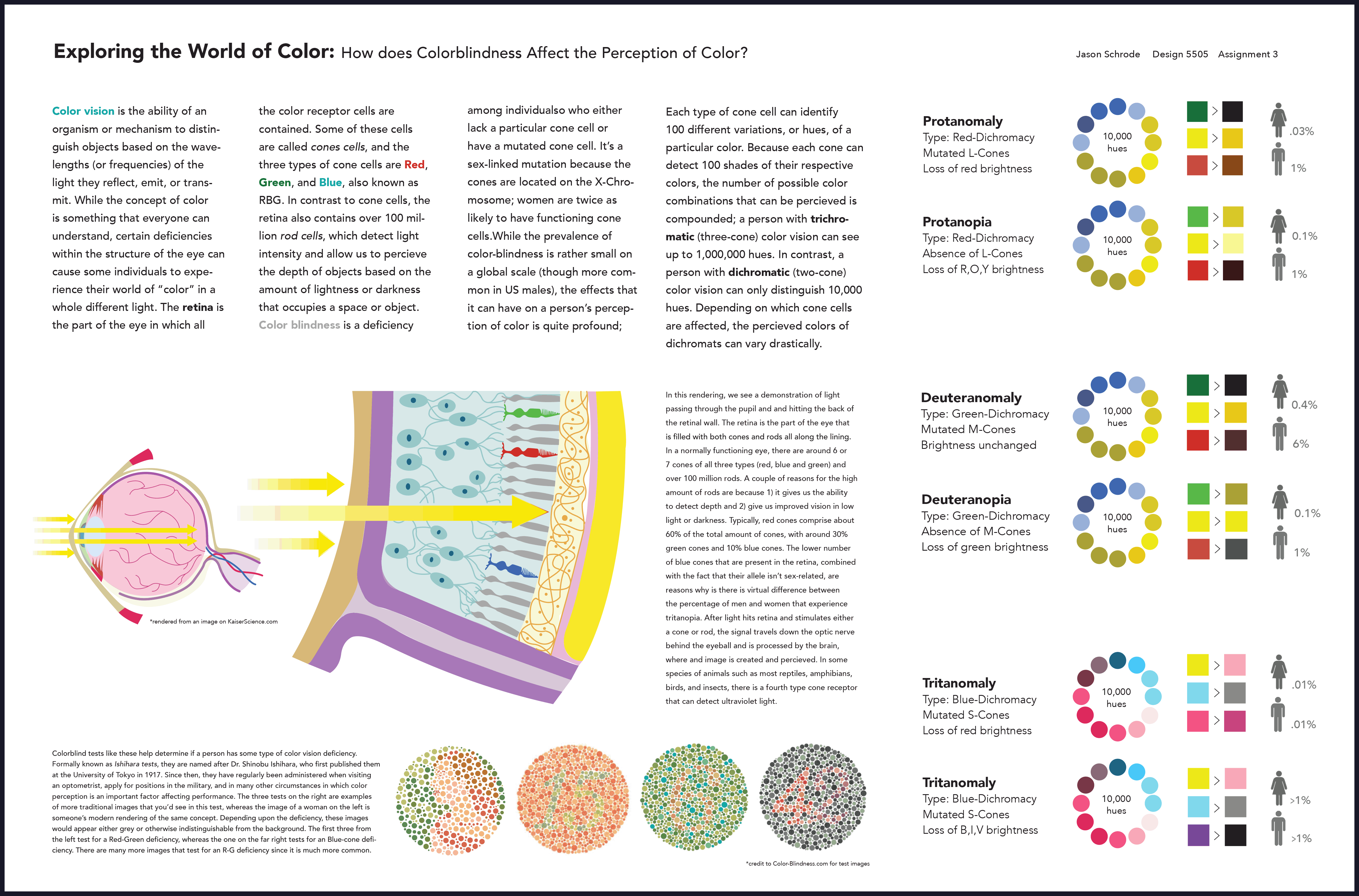 Exploring the World of Color: How Does Colorblindness Affect the ...